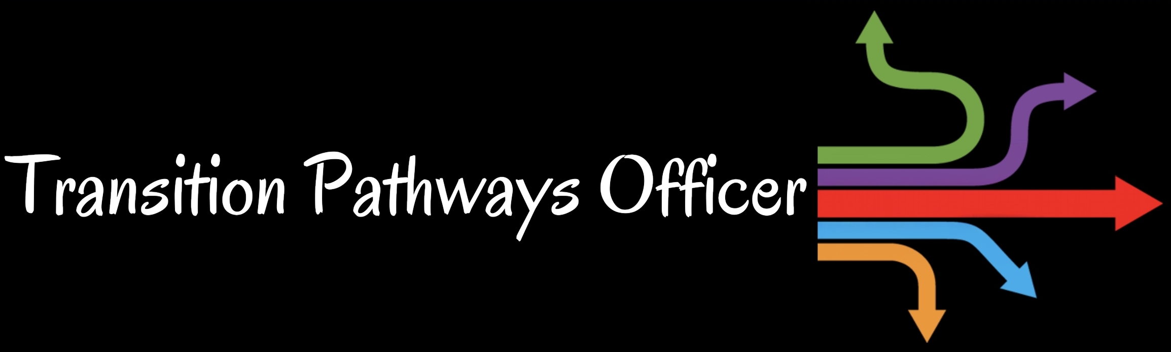 Transition Pathways Officer